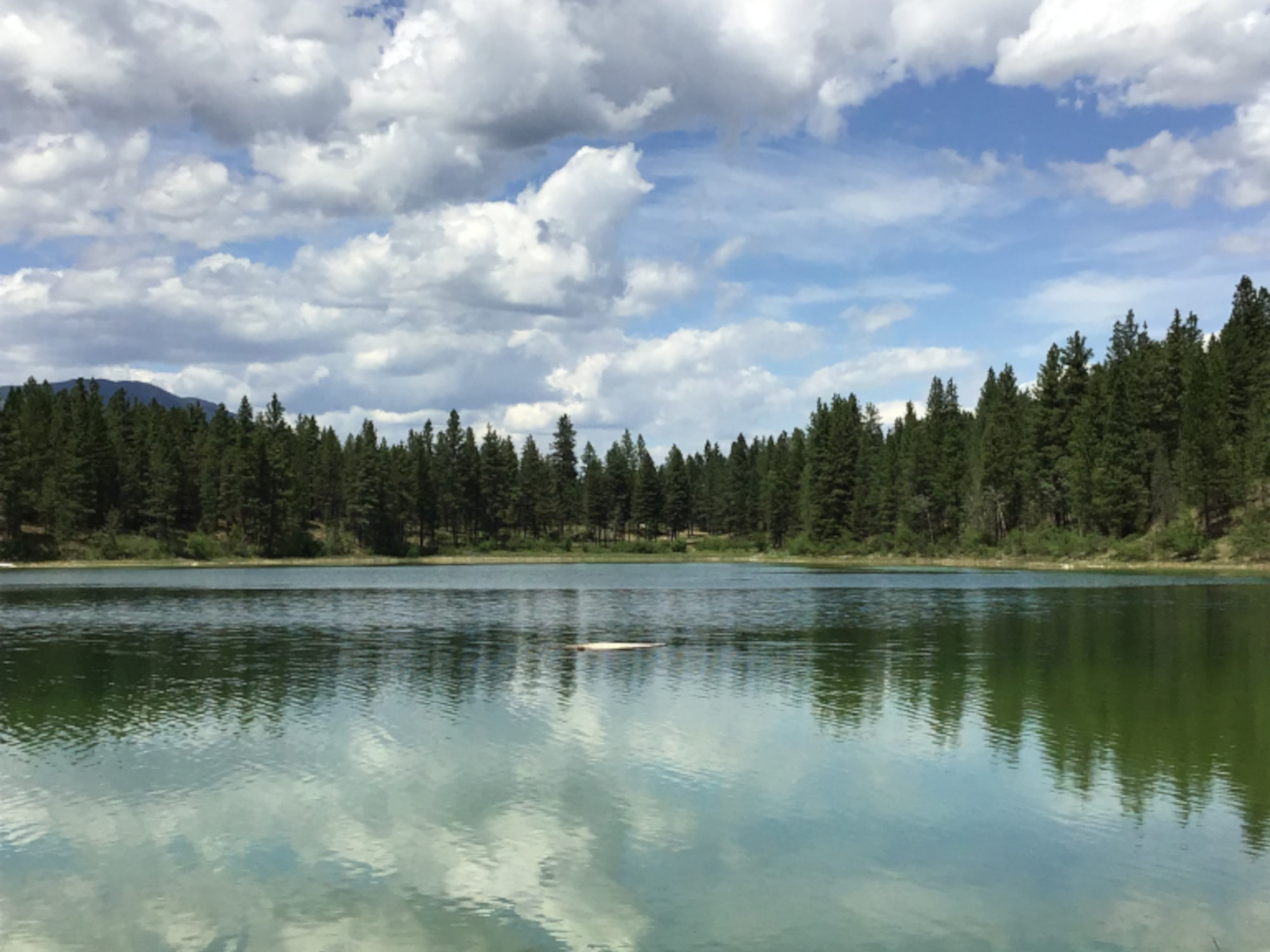Johnson Lake | Camping & RVing BC