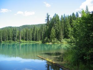 Larson Lake | Camping & RVing BC
