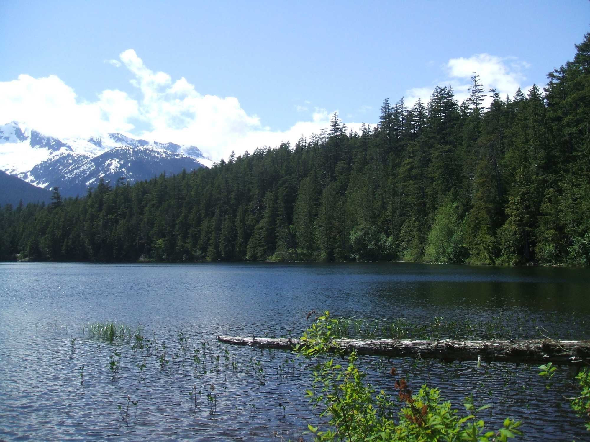 Levette Lake | Camping & RVing BC