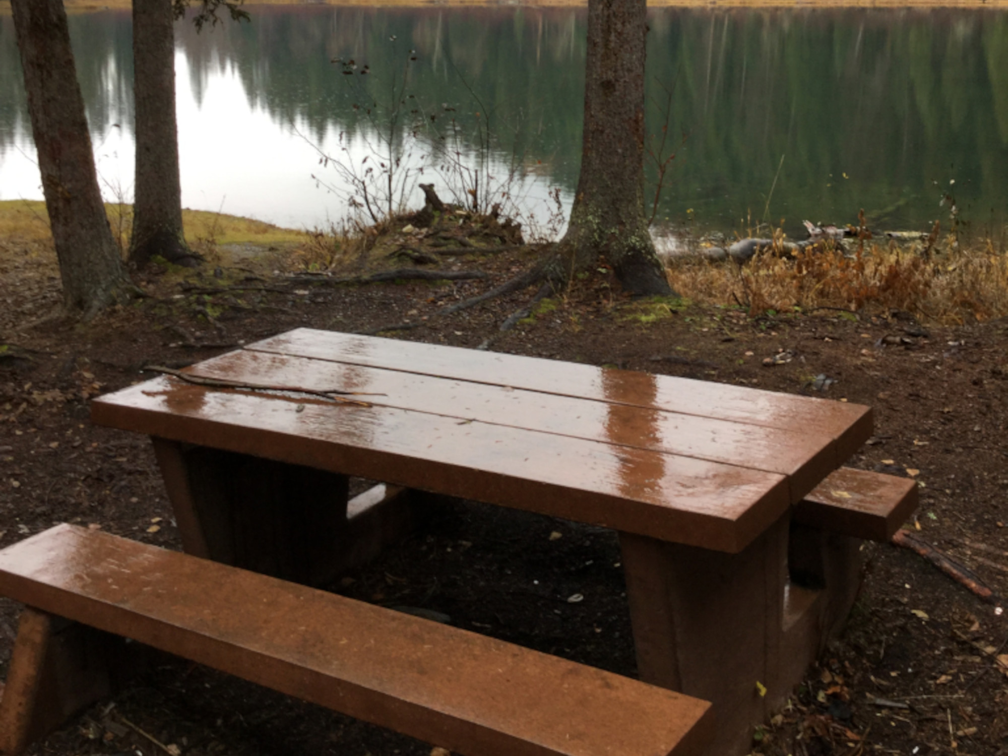 Little Lost Lake | Camping & RVing BC