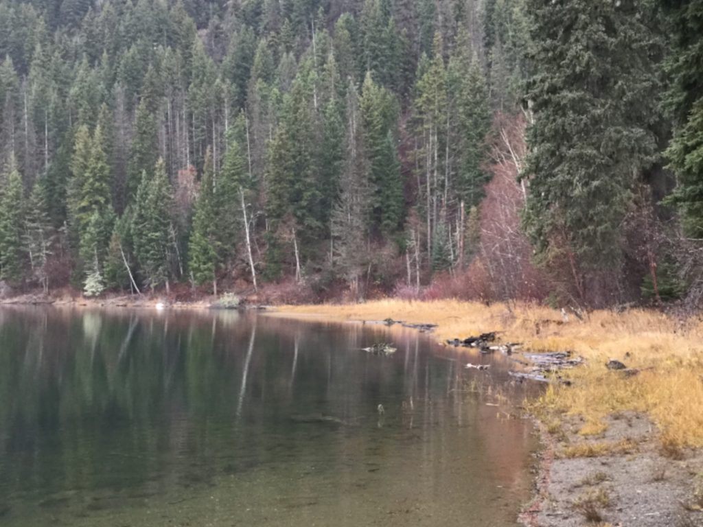 Little Lost Lake | Camping & RVing BC