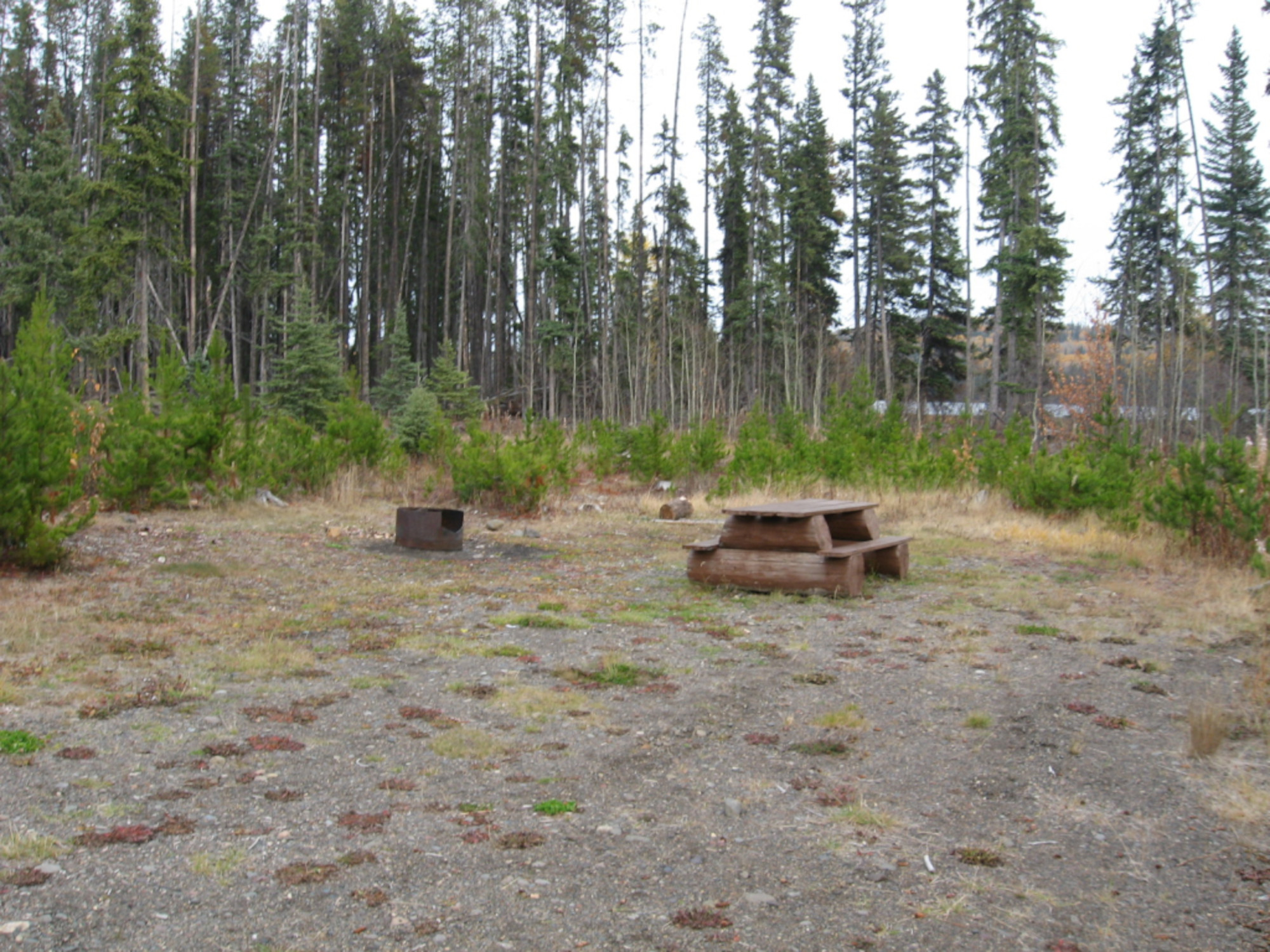 Maxan Lake | Camping & RVing BC