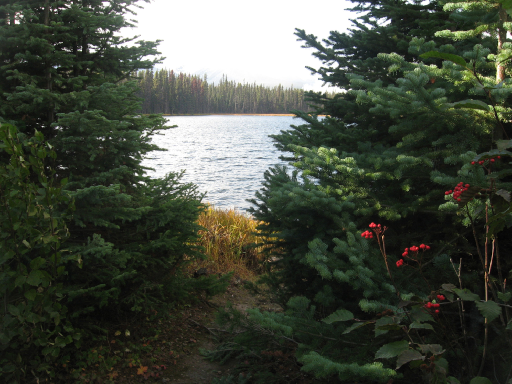 Morin Lake | Camping & RVing BC