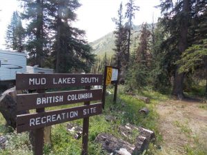 Mud Lakes South | Camping & RVing BC