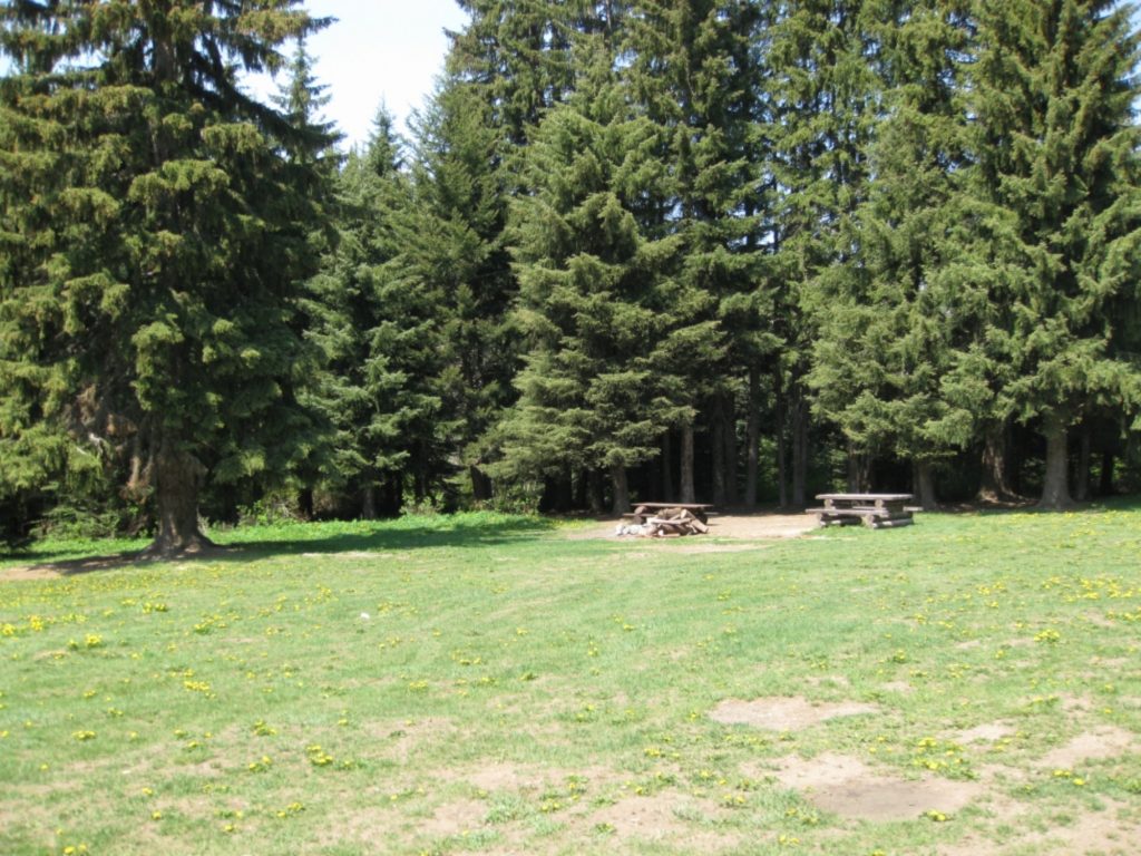 Murray Lake North | Camping & RVing BC