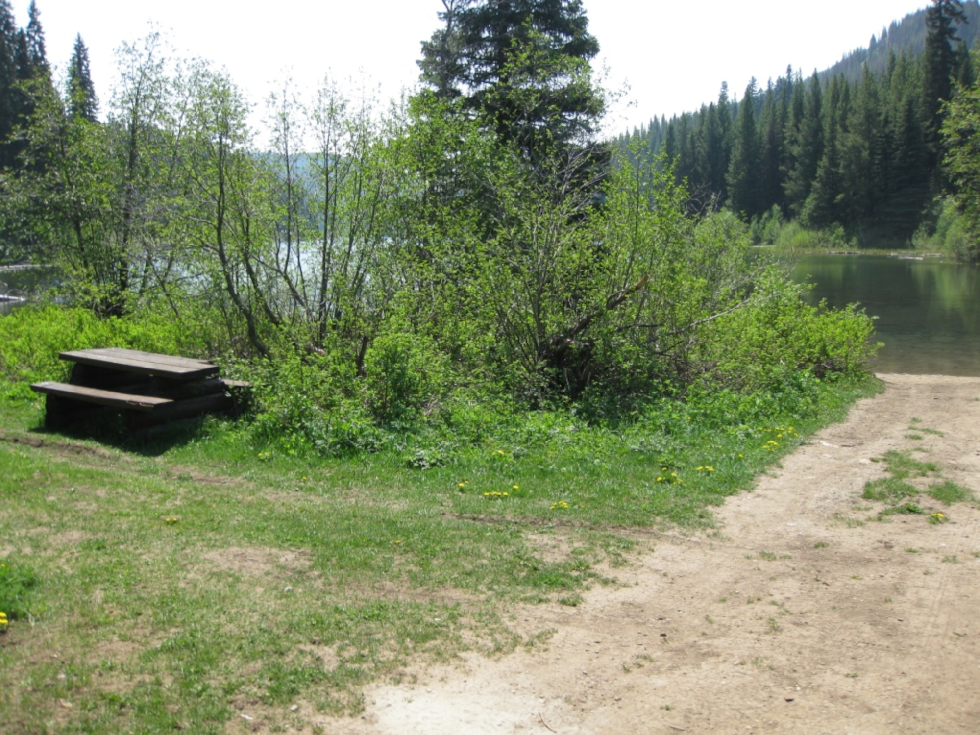 Murray Lake North | Camping & RVing BC