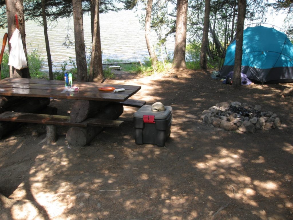 Murray Lake South | Camping & RVing BC