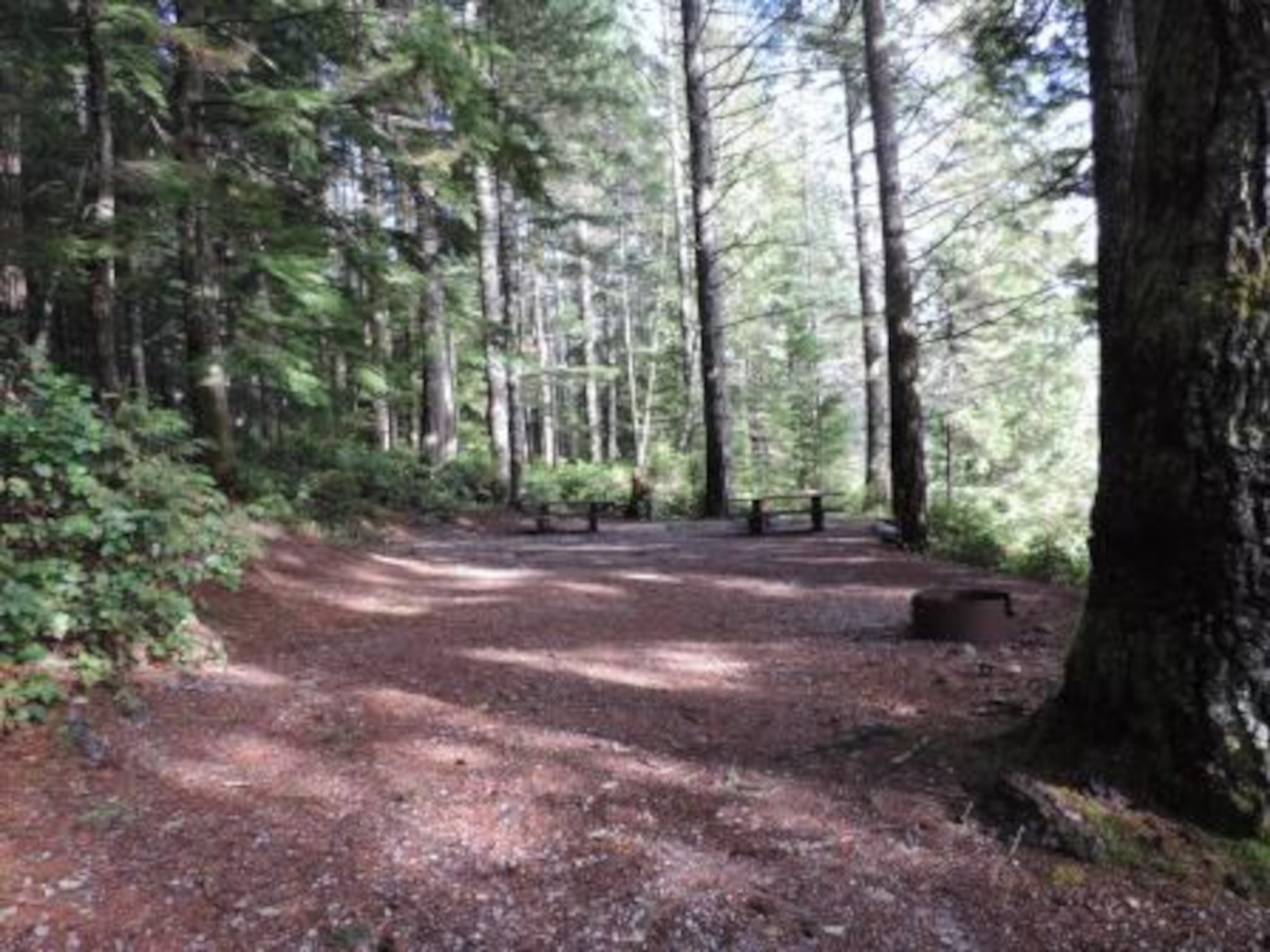Pye Lake | Camping & RVing BC