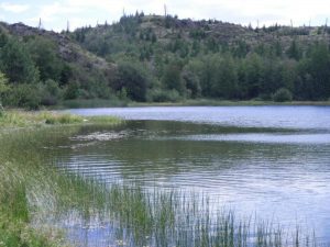 Ripley Lake | Camping & RVing BC