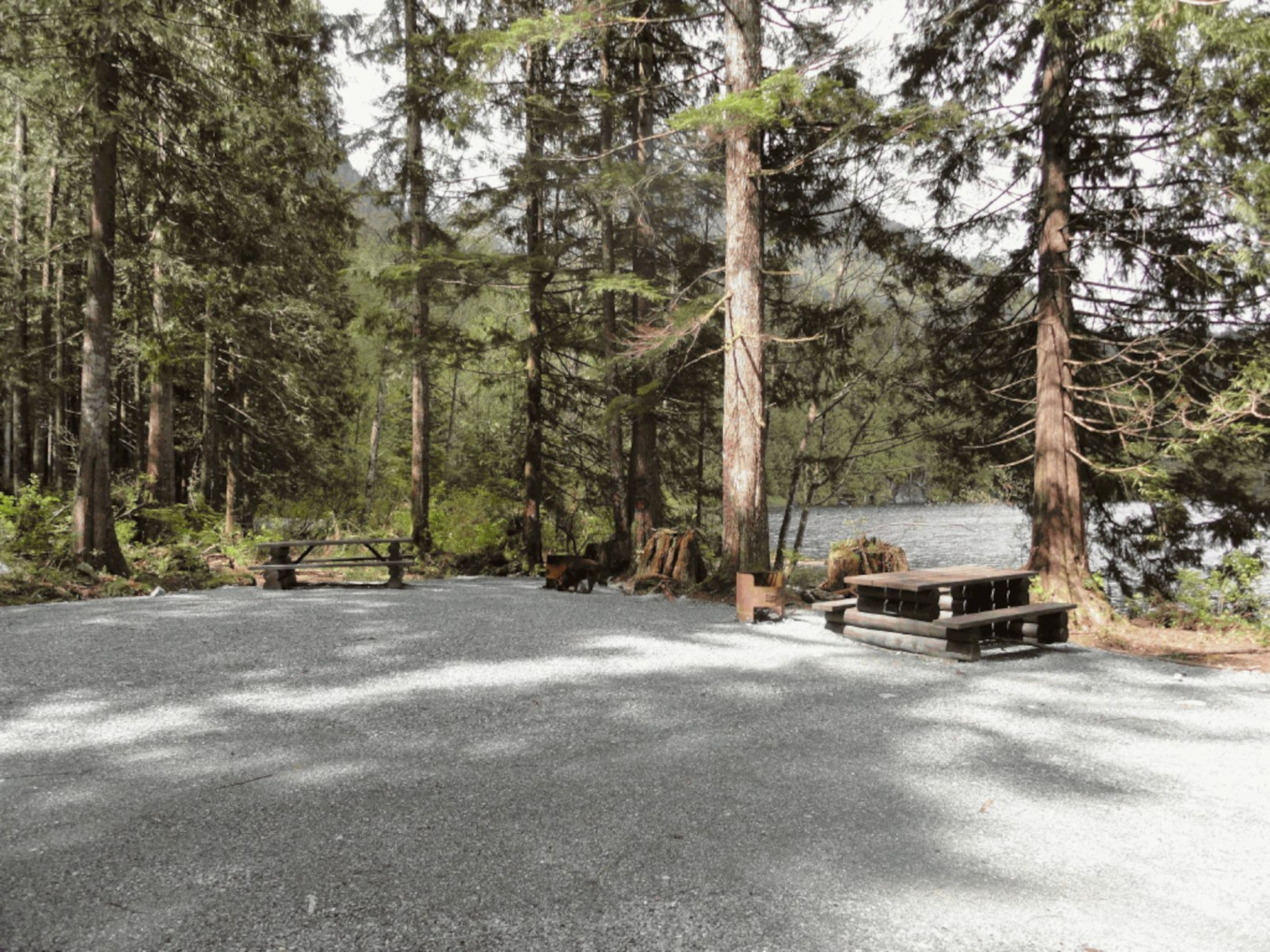 Sayres Lake | Camping & RVing BC