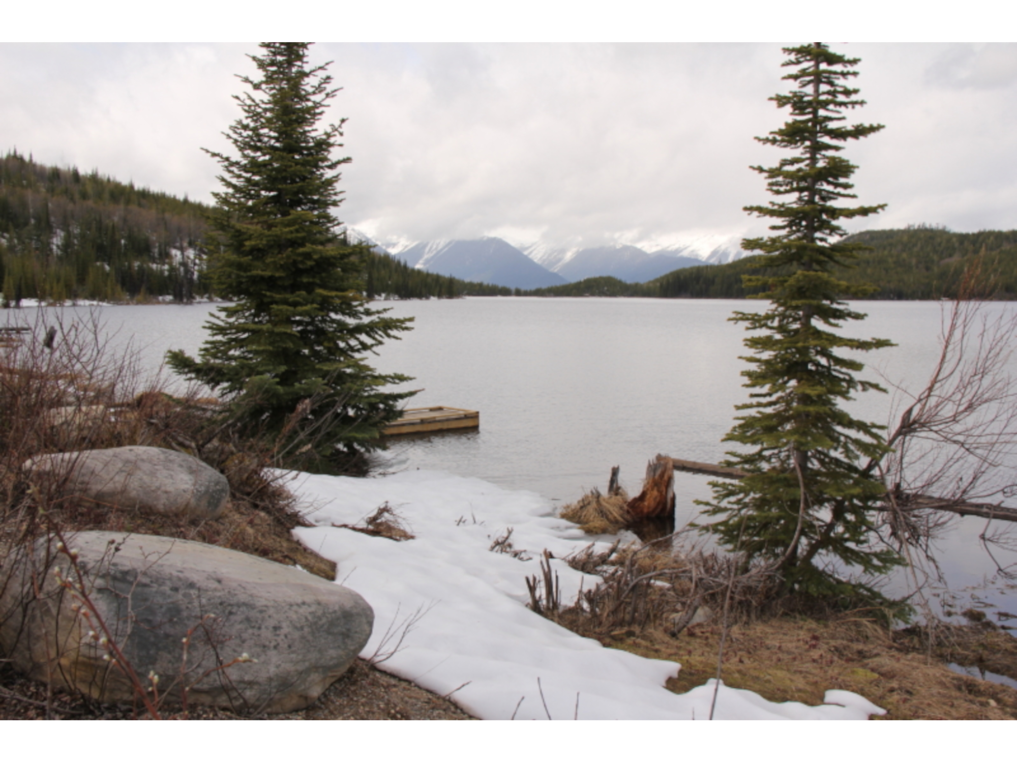 Susan Lake | Camping & RVing BC