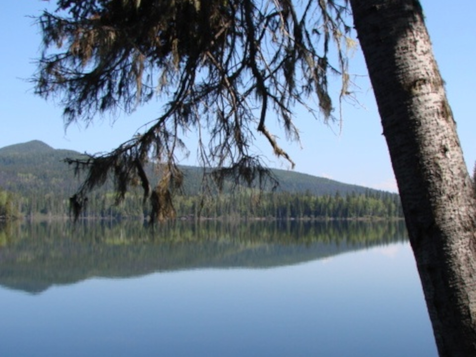 Tacheeda Lakes Middle | Camping & RVing BC