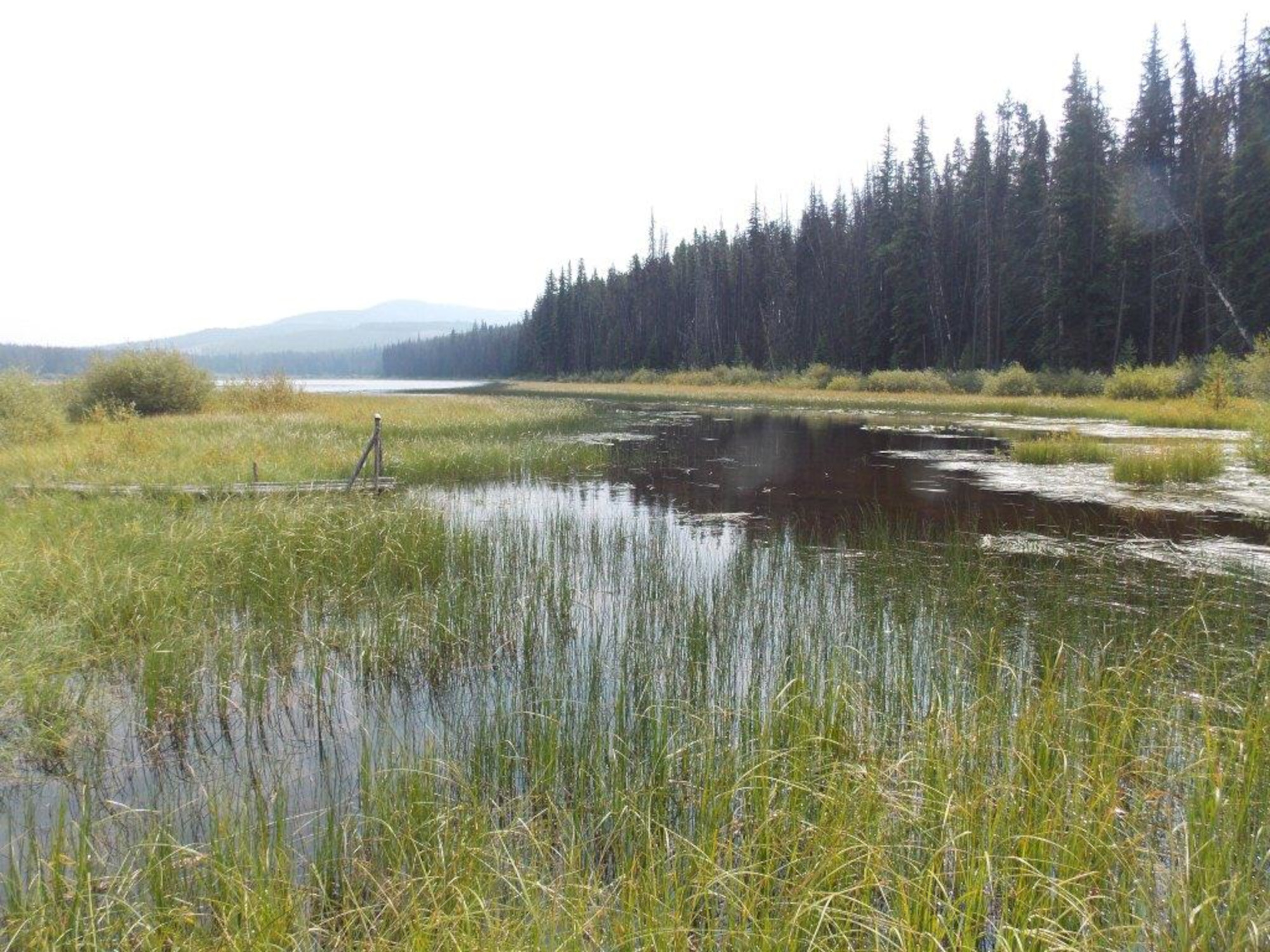 Third Lake | Camping & RVing BC