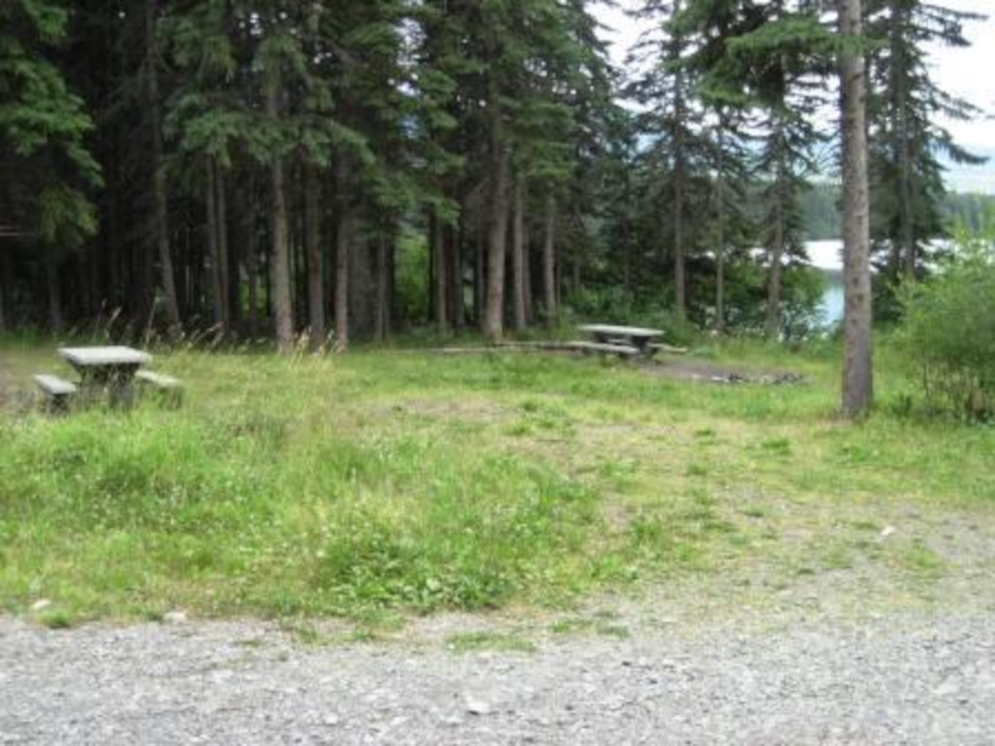 Tisdall Lake | Camping & RVing BC