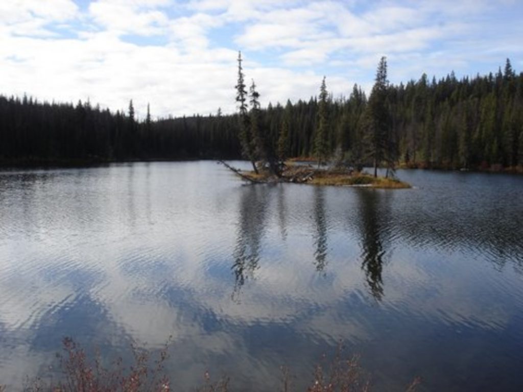 Tupper Lake | Camping & RVing BC