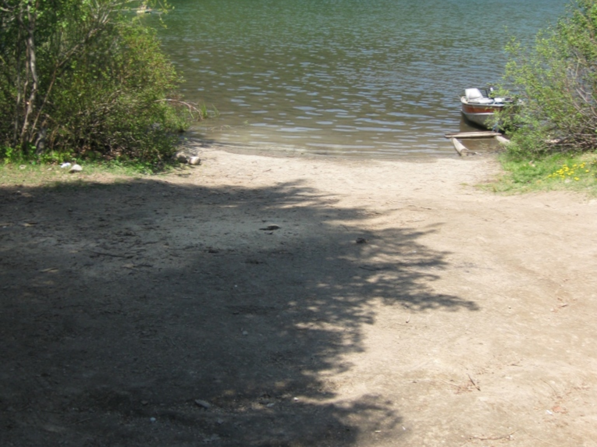 Murray Lake South | Camping & RVing BC