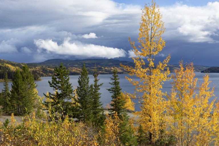 BC's Mighty Skeena, Nass and Stikine Rivers - Camping & RVing BC