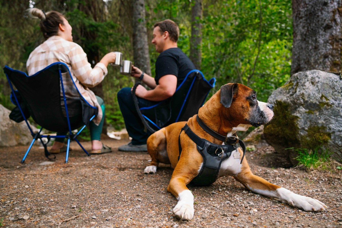 How to Respect and Observe Wildlife and Our Natural Surroundings with ...