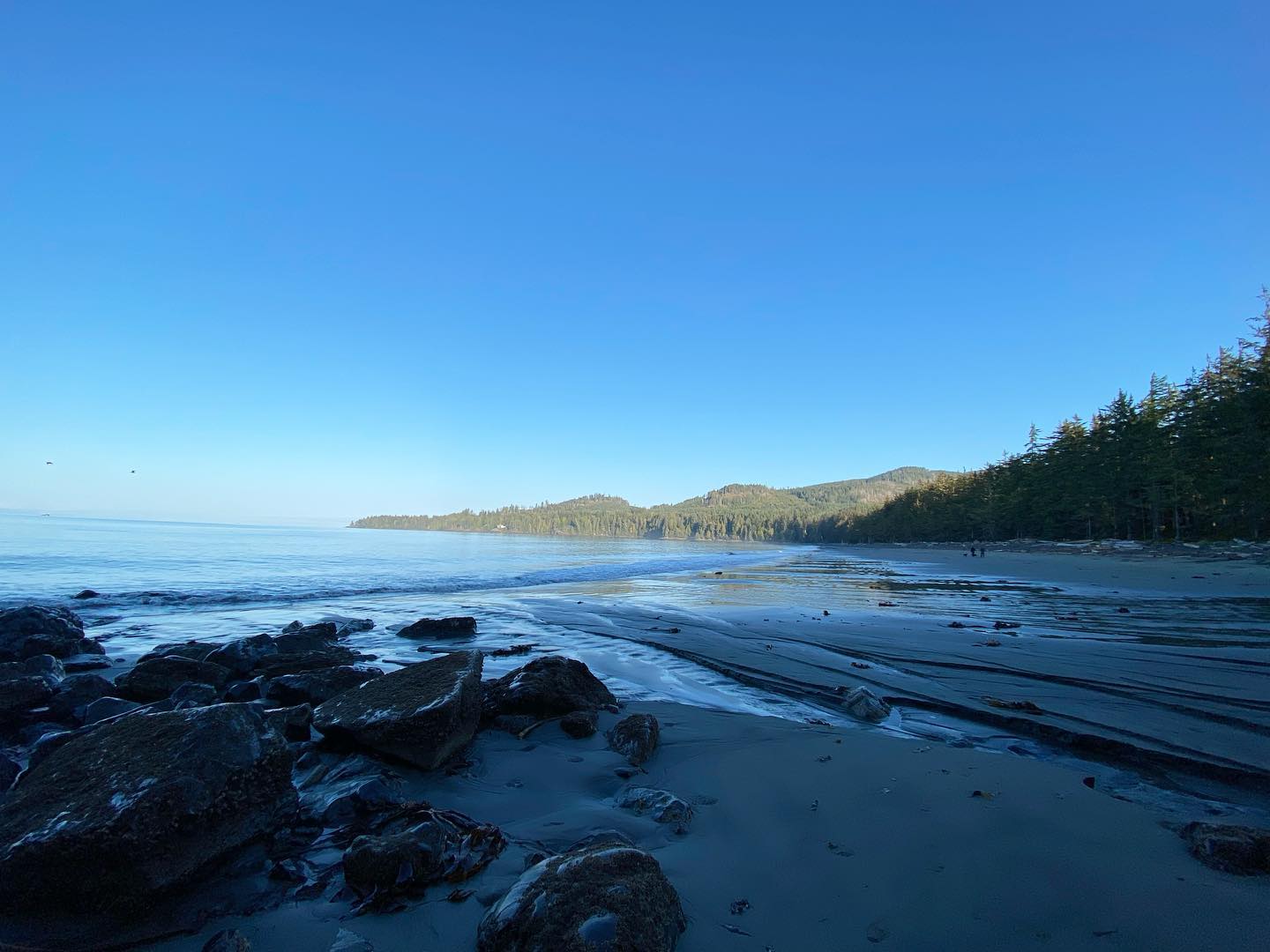 Port Renfrew, British Columbia: Fall Camping, Old Growth Forests and ...